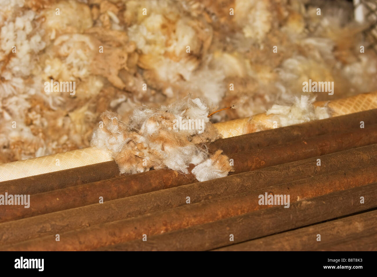 Wool fleece on a classing table Stock Photo - Alamy Wool fleece on a classing table Stock Photo - Alamy