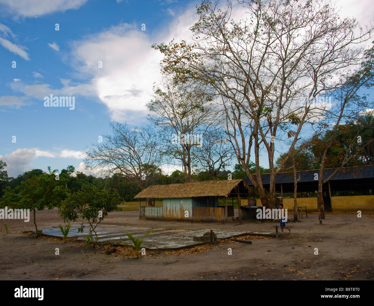 Amazon rainforest brazil hut hi-res stock photography and images - Alamy