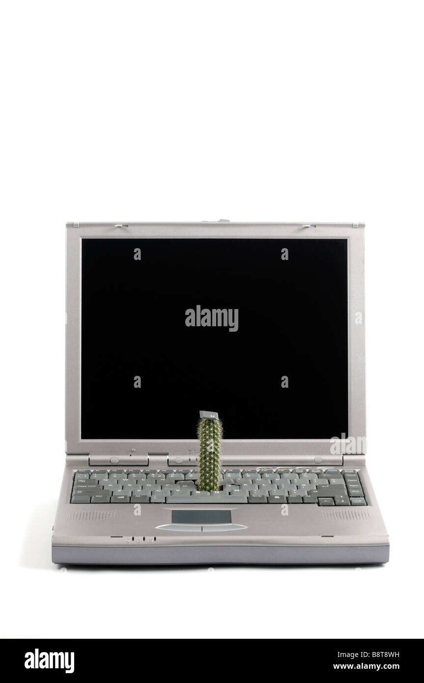 A laptop computer with a cactus growing out of the keyboard Stock Photo ...