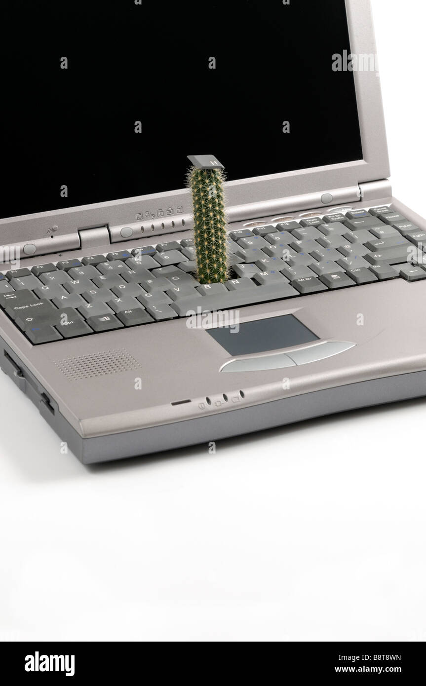 A laptop computer with a cactus growing out of the keyboard Stock Photo ...