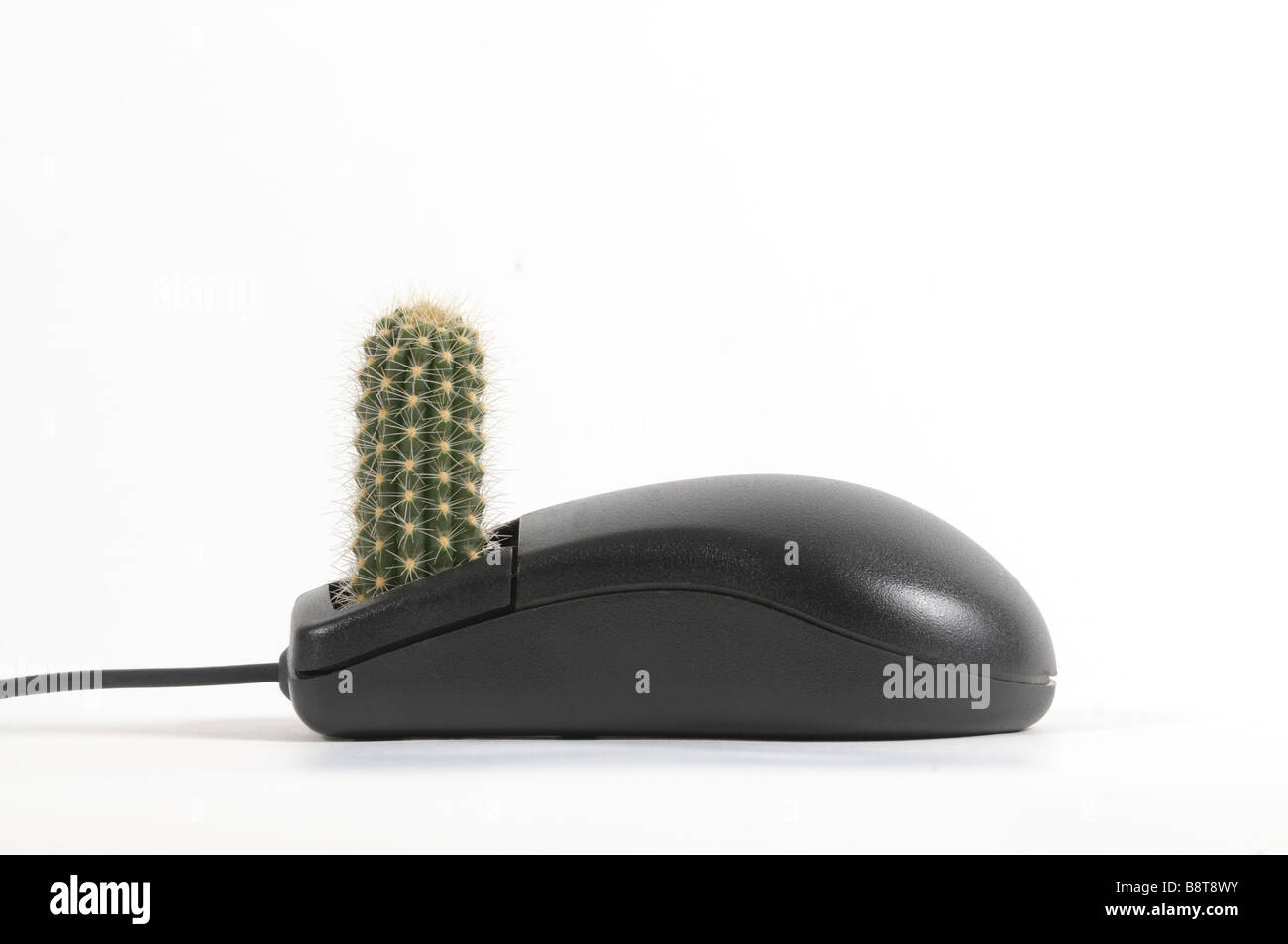 A computer mouse with a cactus growing out of the left click Stock ...