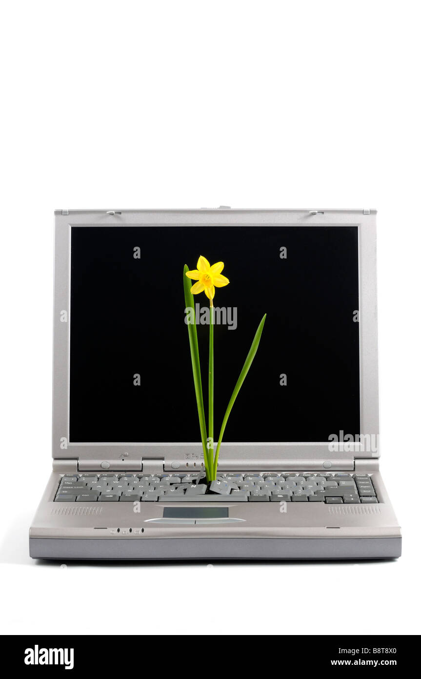 Keyboard spring hi-res stock photography and images - Alamy