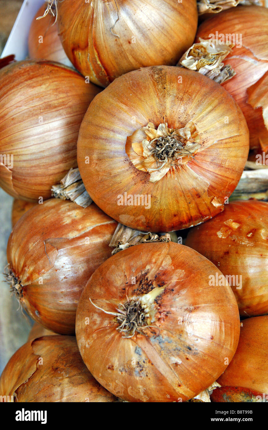 Onion hytech hi-res stock photography and images - Alamy