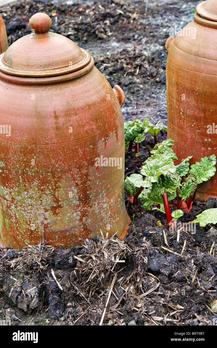Rhubarb forcing pots hi-res stock photography and images - Alamy