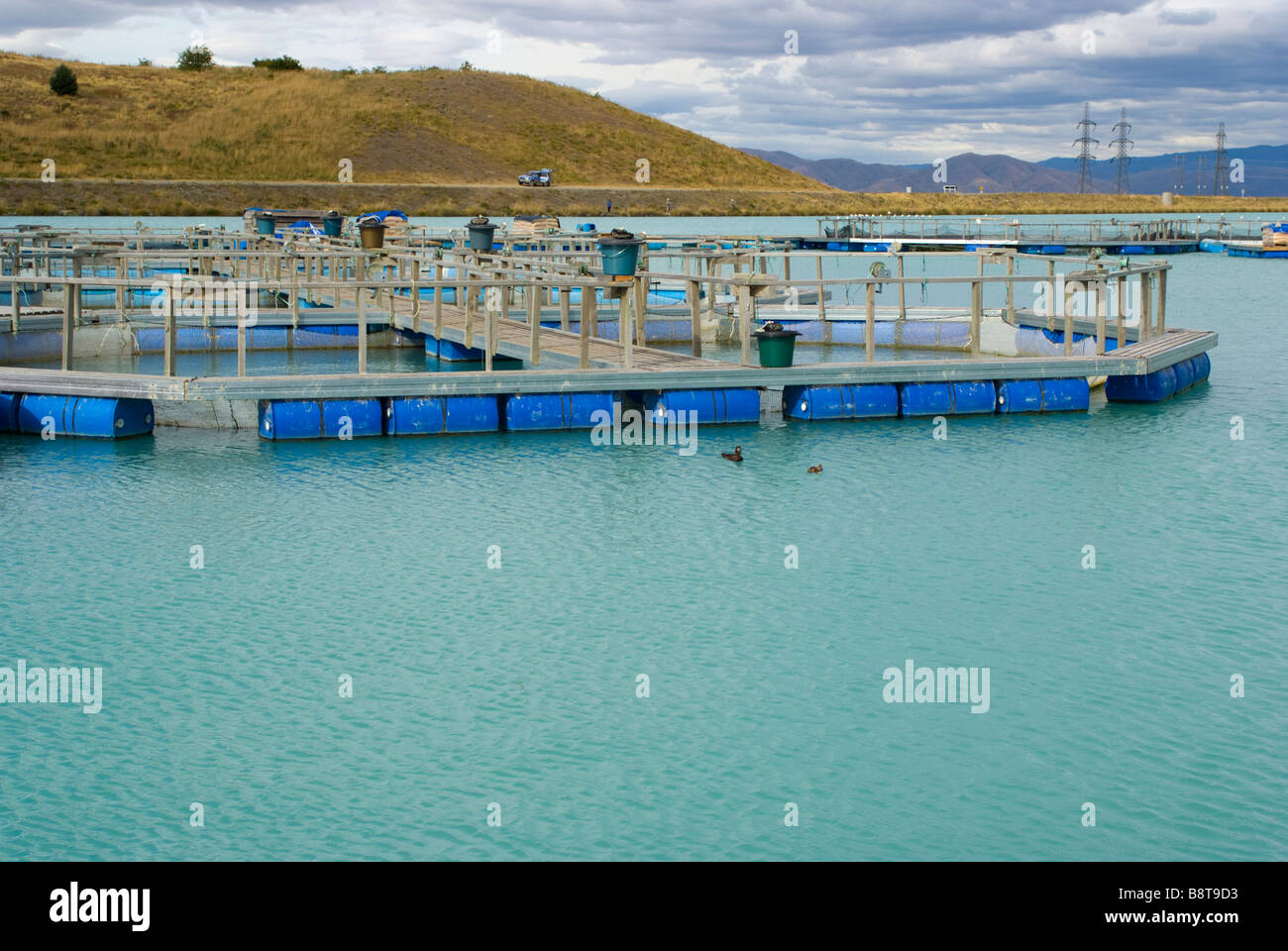 A salmon farm on a hydro power station canal Waitaki Basin New Zealand ...