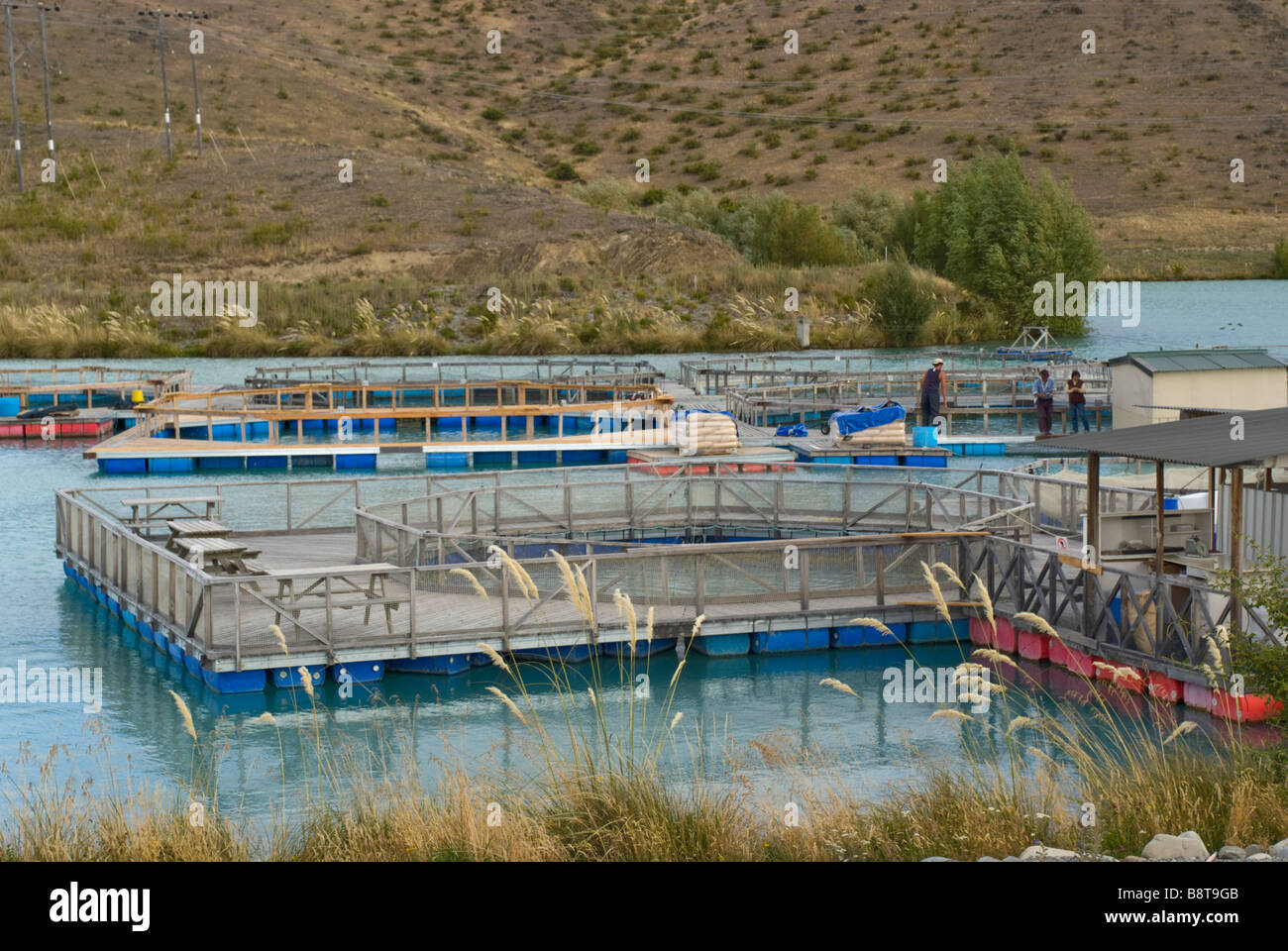 A salmon farm on a hydro power station canal Waitaki Basin New Zealand ...