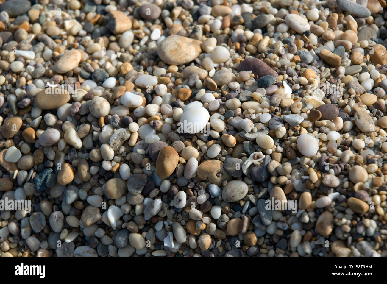 Pebbles at slapton,south devon Stock Photo - Alamy