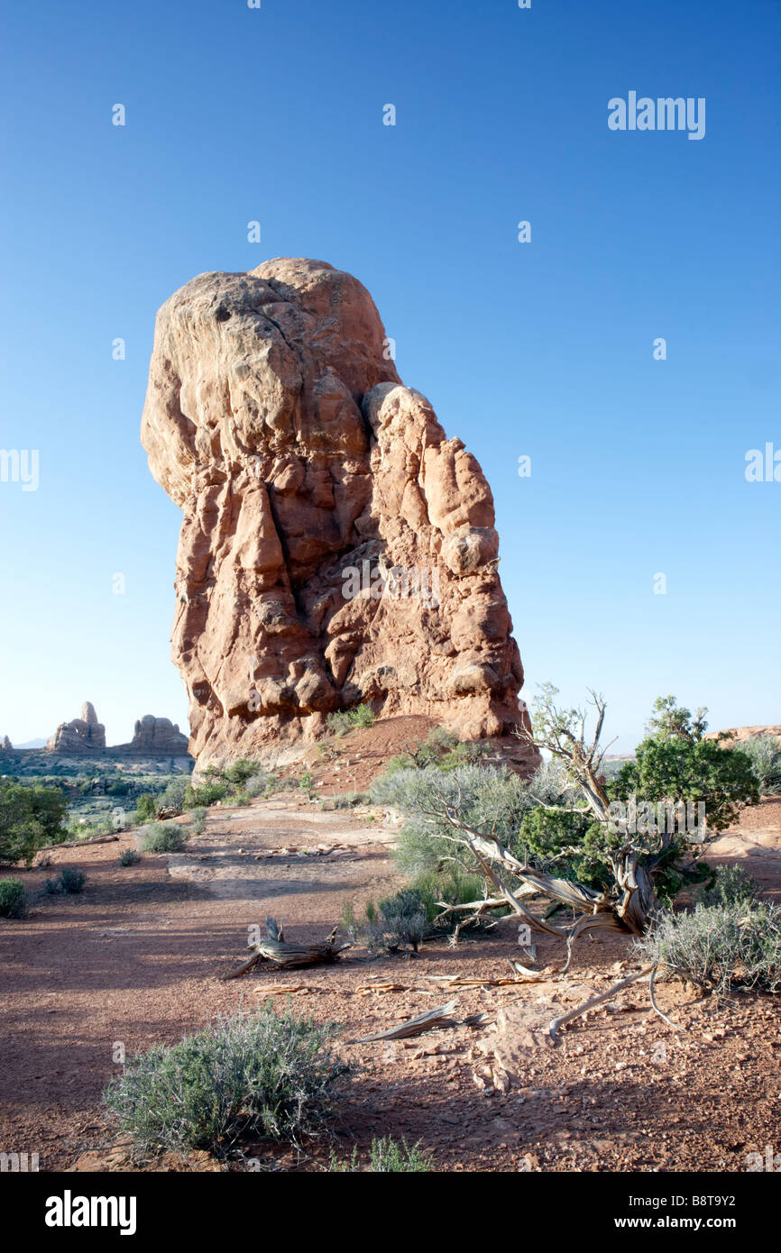 Entrada sandstone at sunset hi-res stock photography and images - Alamy