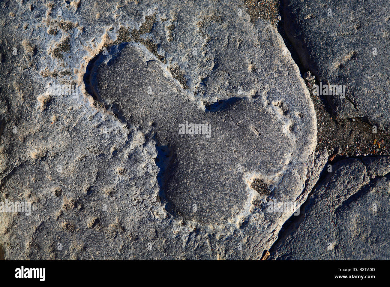 Pompeii gladiator hi-res stock photography and images - Alamy