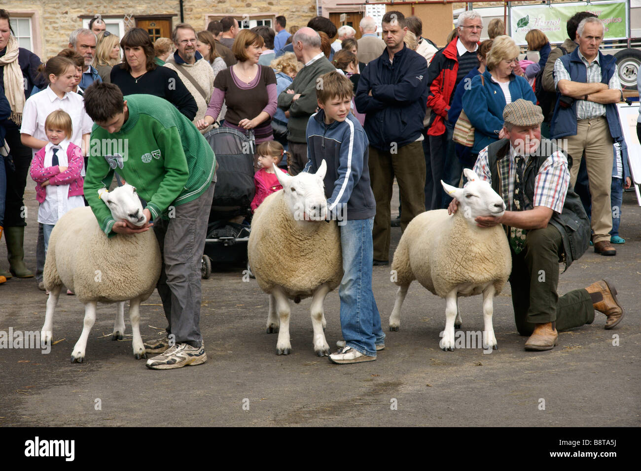 Exhibits are displayed for inspection at Masham Sheep Fair North ...