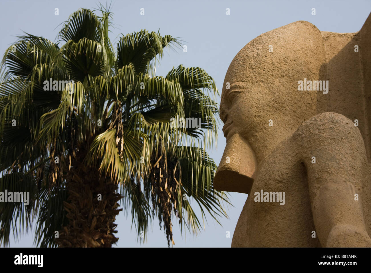 Statue at Memphis Egypt Stock Photo - Alamy