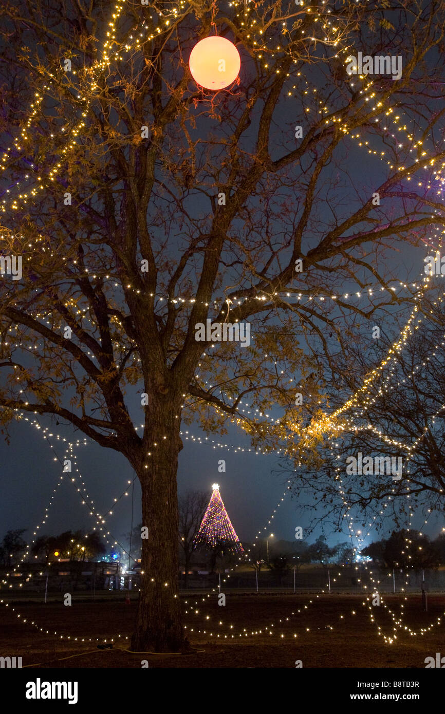 December 2008 - A large tree decorated in lights at the Trail of Lights ...