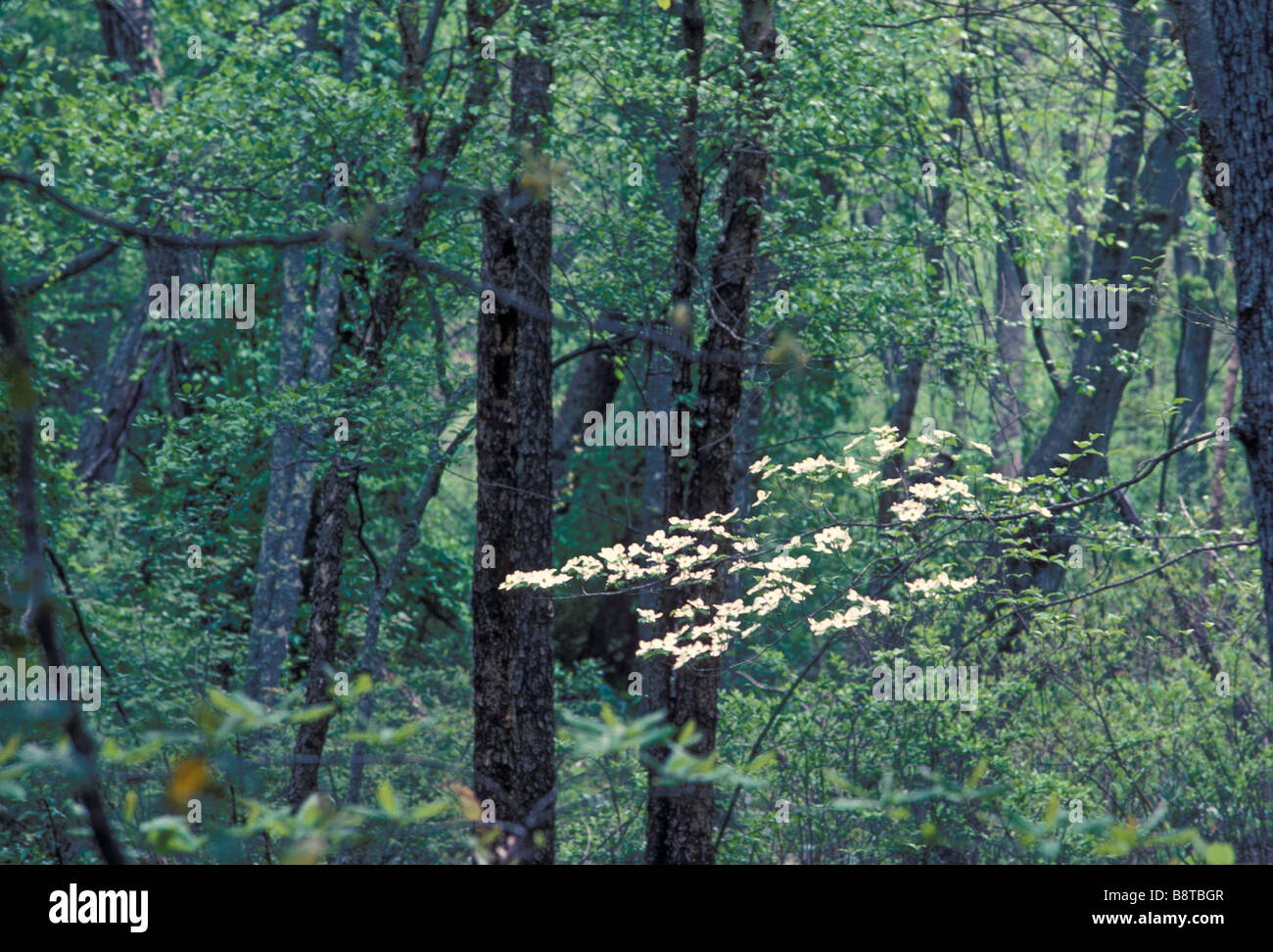 Rockwood park hi-res stock photography and images - Alamy