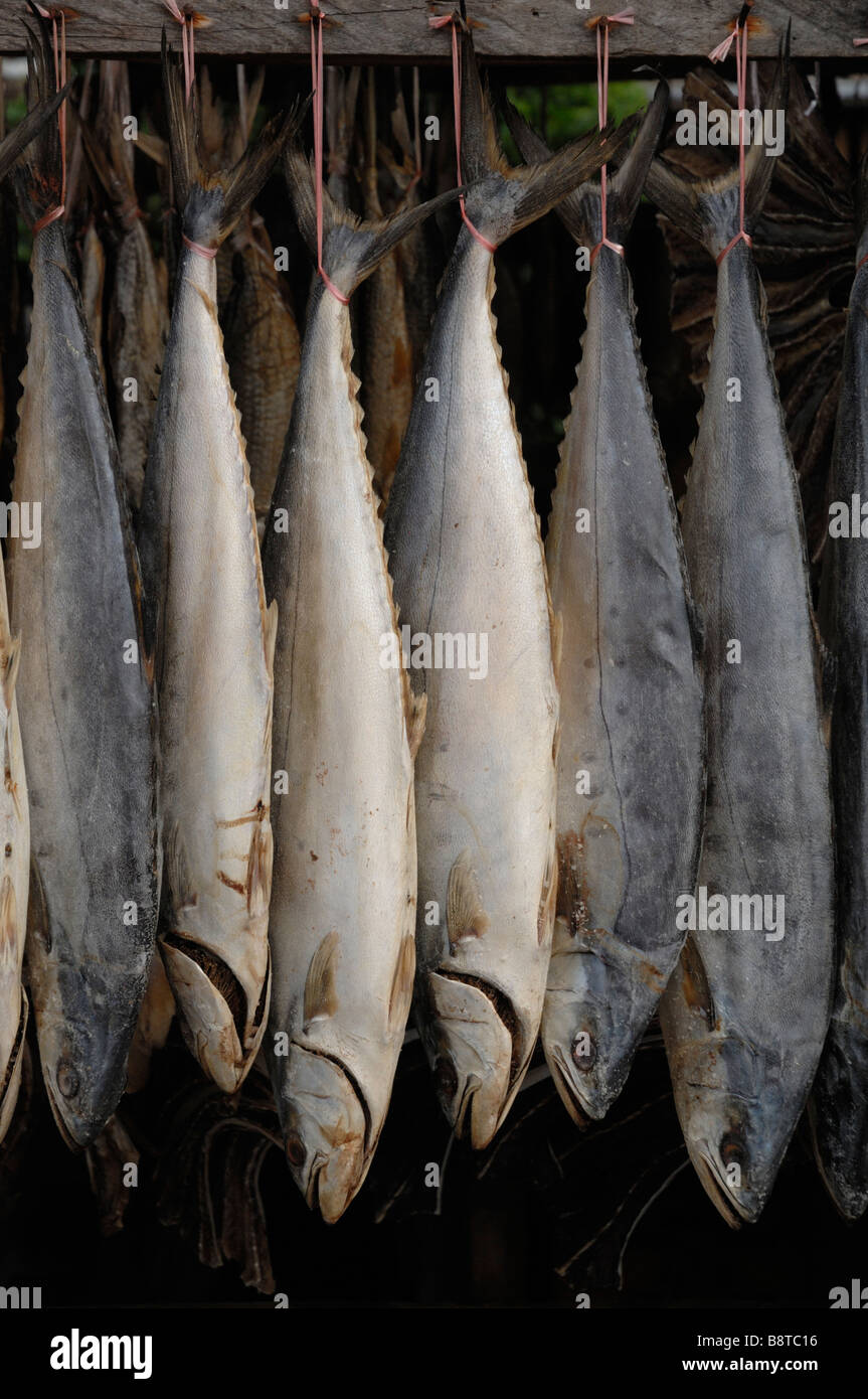 Dried tuna hanging up in market stall dried fish market Semporna Sabah ...