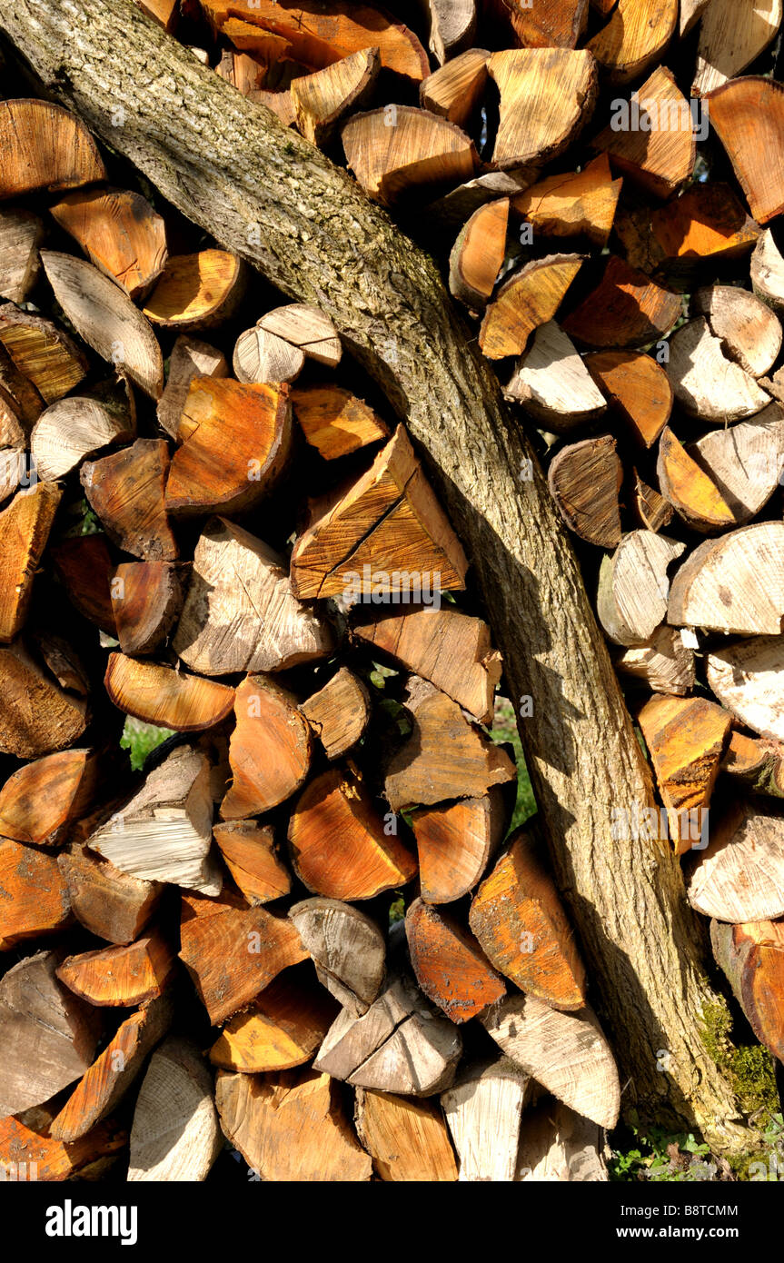 Log pile in Shropshire Stock Photo - Alamy