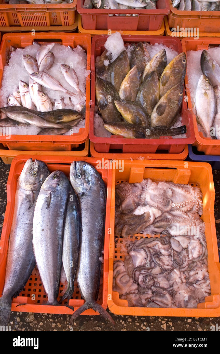 fish market in Tripoli, Libya, Tripolis Stock Photo - Alamy
