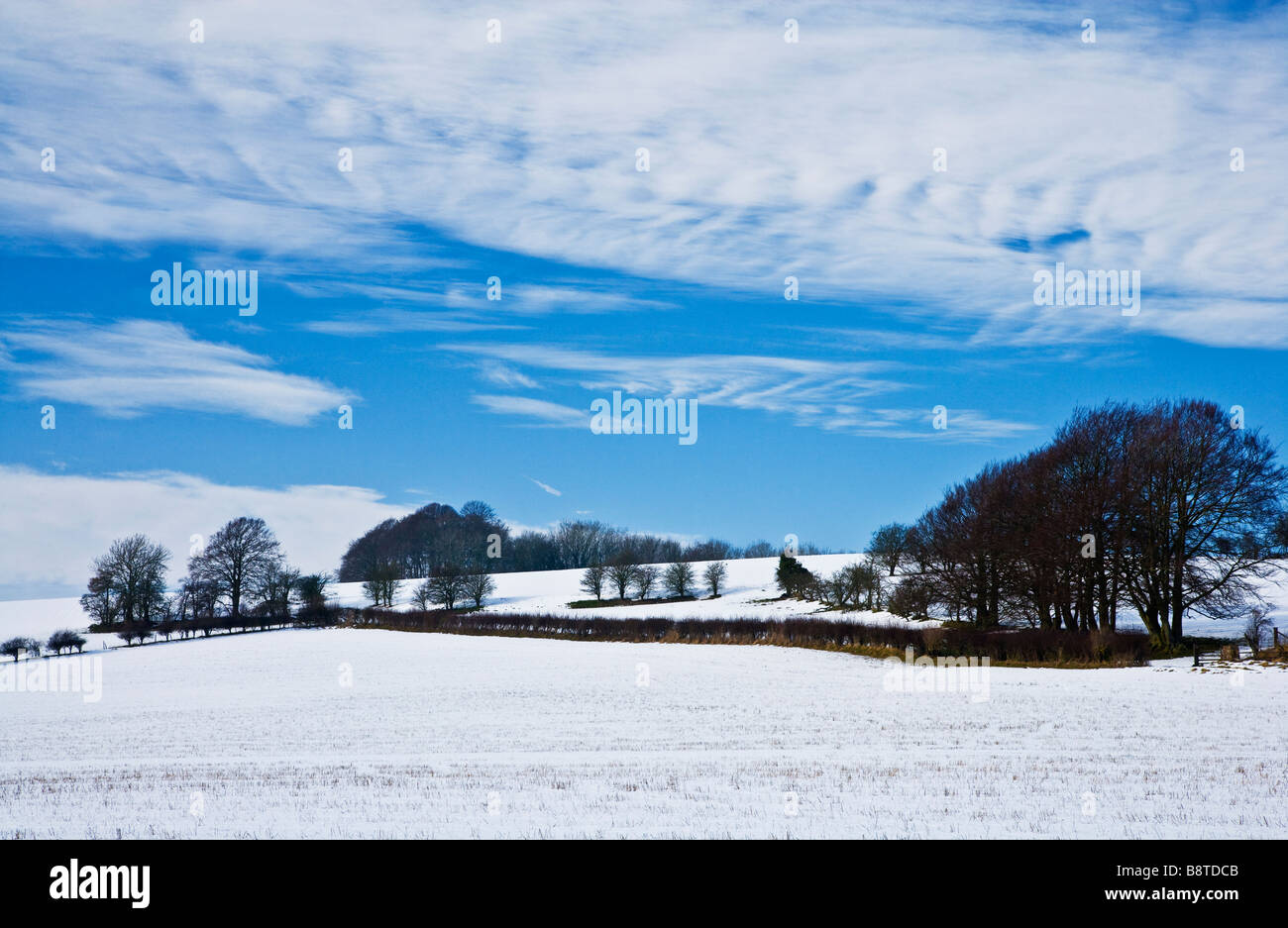 Winter countryside rural landscape hi-res stock photography and images ...