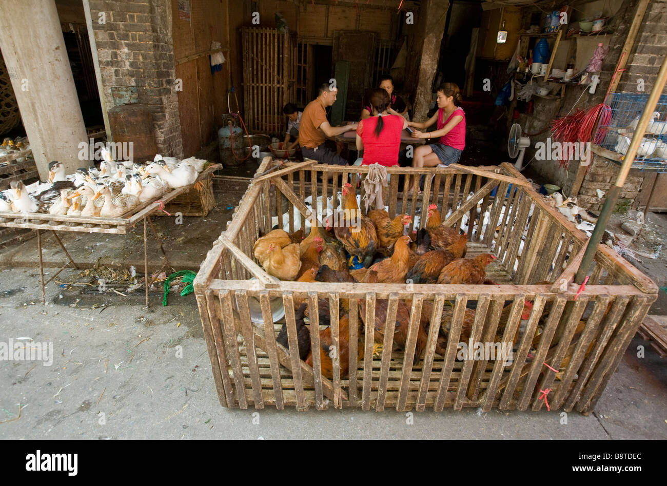 A poultry seller family at lunch at their stall at the Chongqing market ...