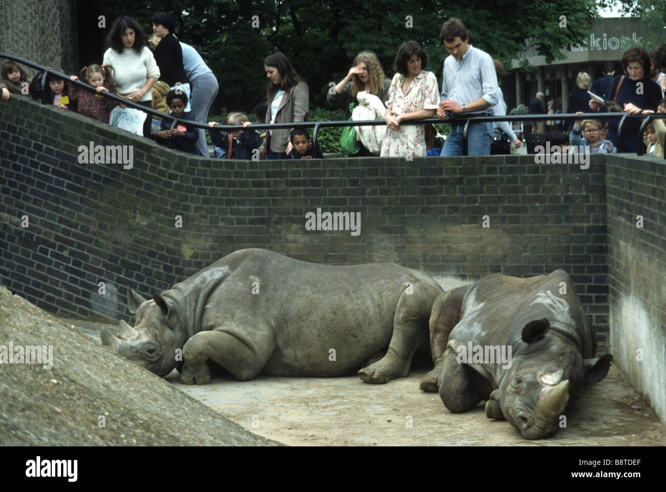 The hippopotamus pen at London Zoo in 1978 Stock Photo - Alamy