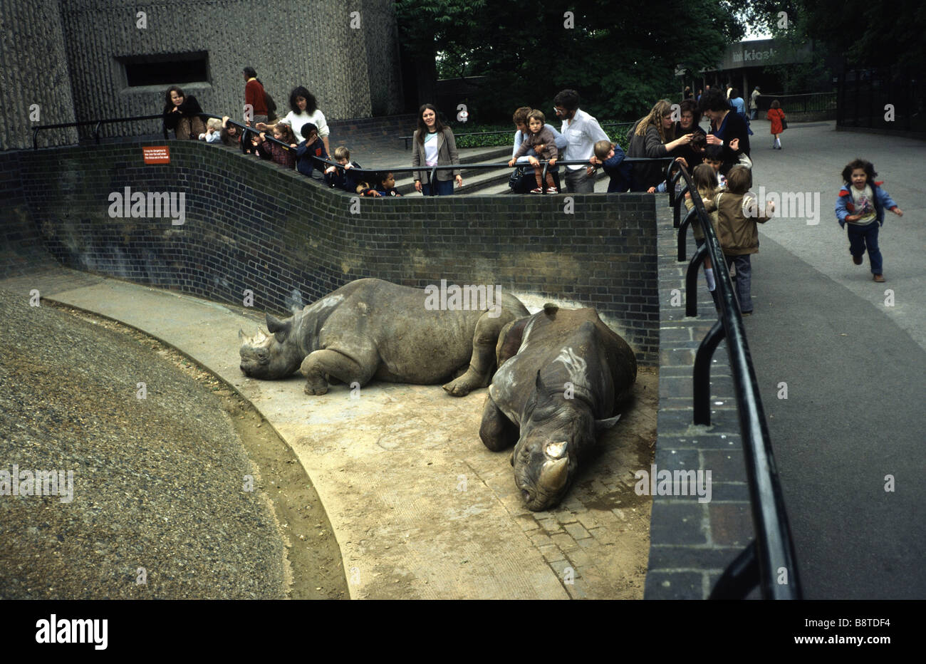 The hippopotamus pen at London Zoo in 1978 Stock Photo - Alamy