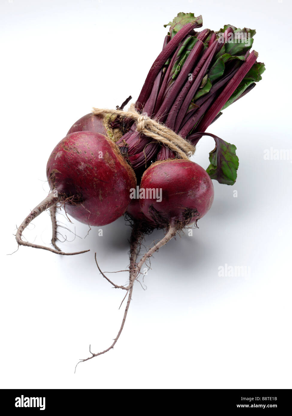 White beetroot Cut Out Stock Images & Pictures - Alamy