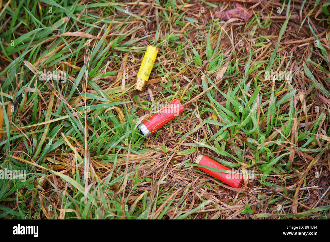 Ground shot wide angle hi-res stock photography and images - Alamy