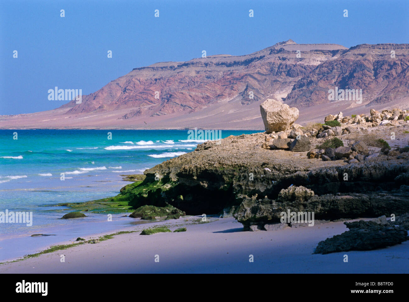 Socotra island Yemen Stock Photo - Alamy