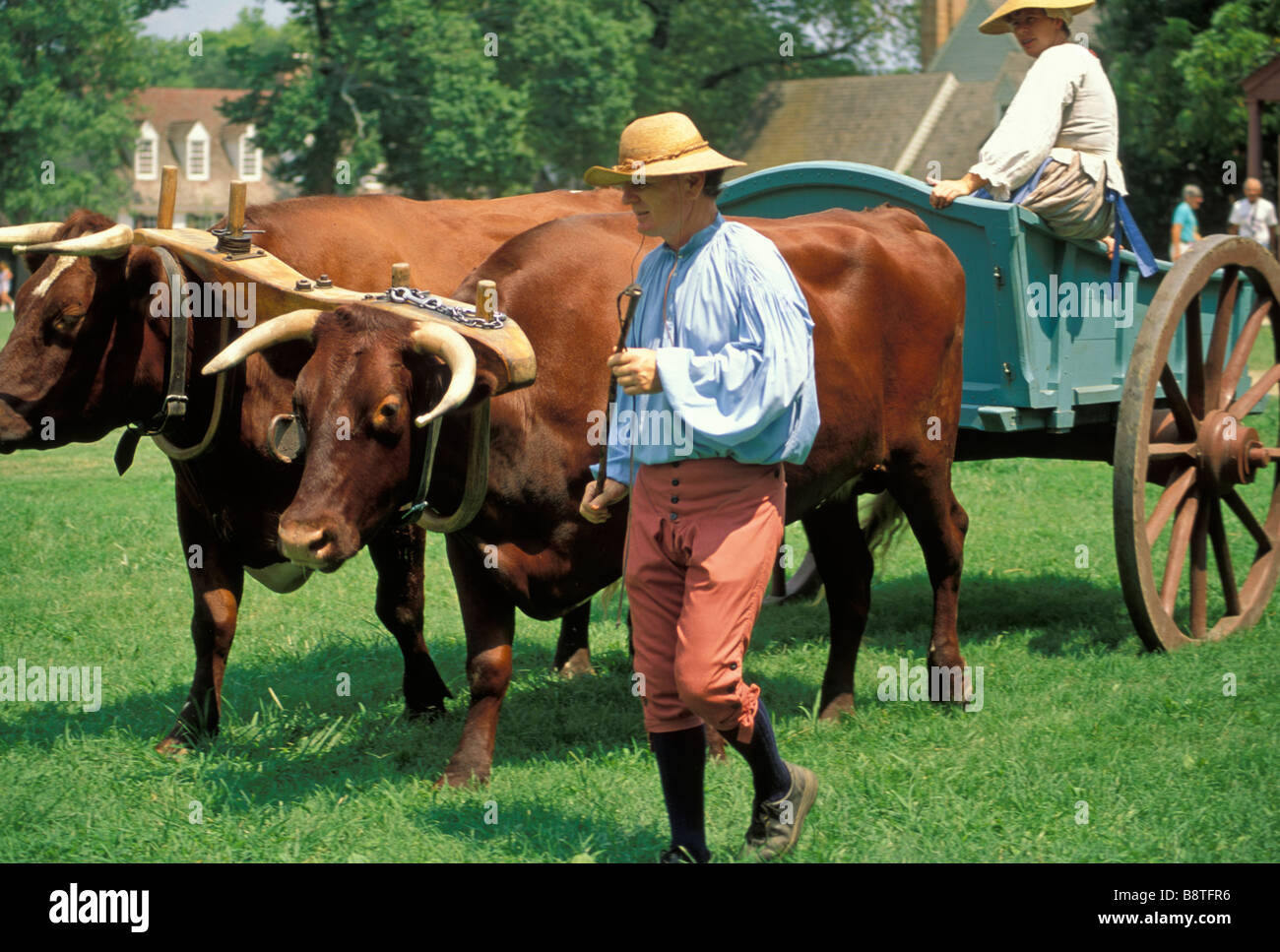 Ox cart in Colonial National Park Stock Photo - Alamy