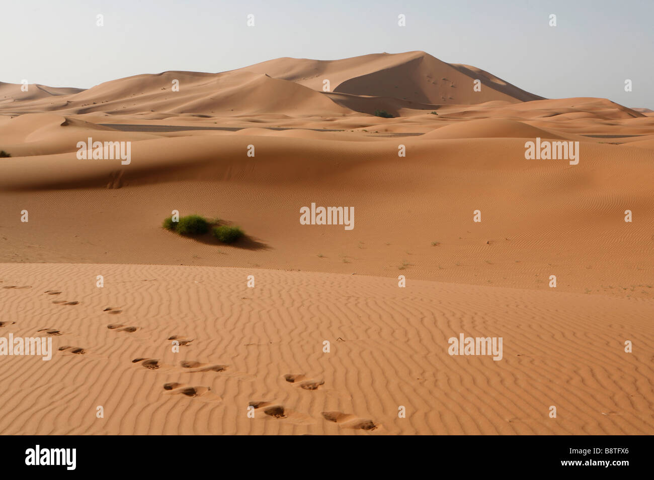 Desert footsteps hi-res stock photography and images - Alamy