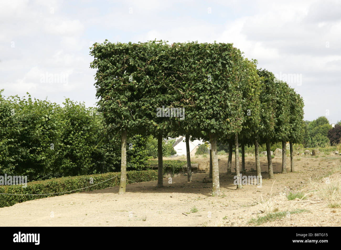 Oblong south hi-res stock photography and images - Alamy