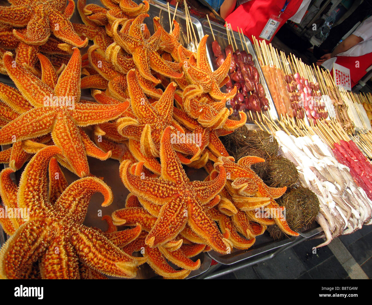 Sea Stars Food