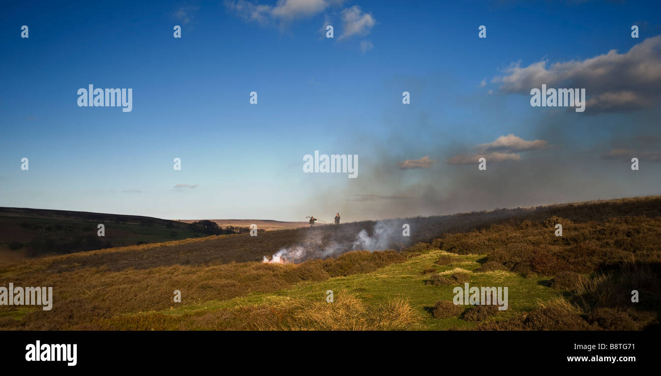 Burning heather on the high moors of North Yorkshire Stock Photo - Alamy
