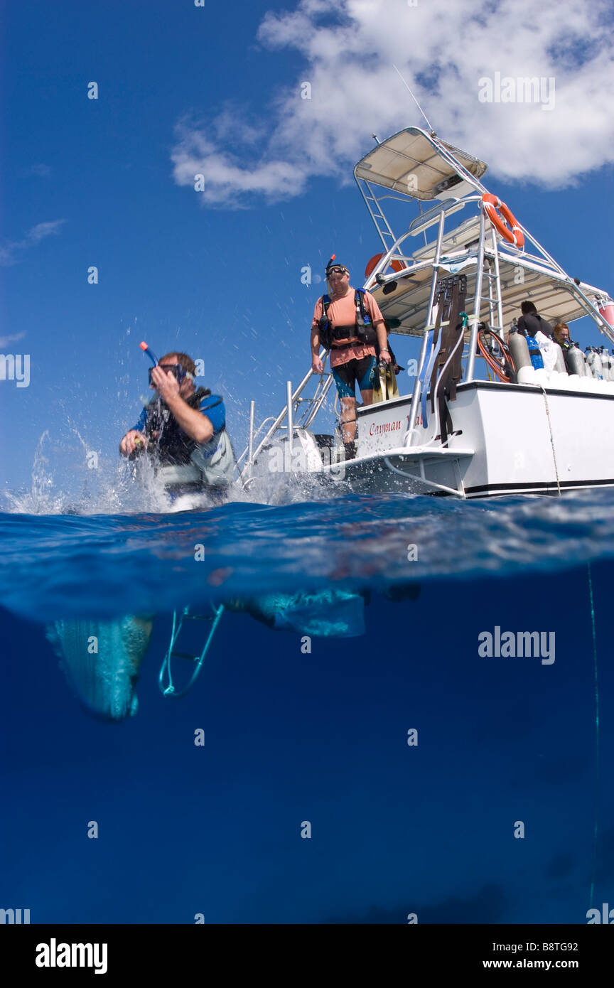 Giant-stride dive entry off a diveboat Stock Photo - Alamy