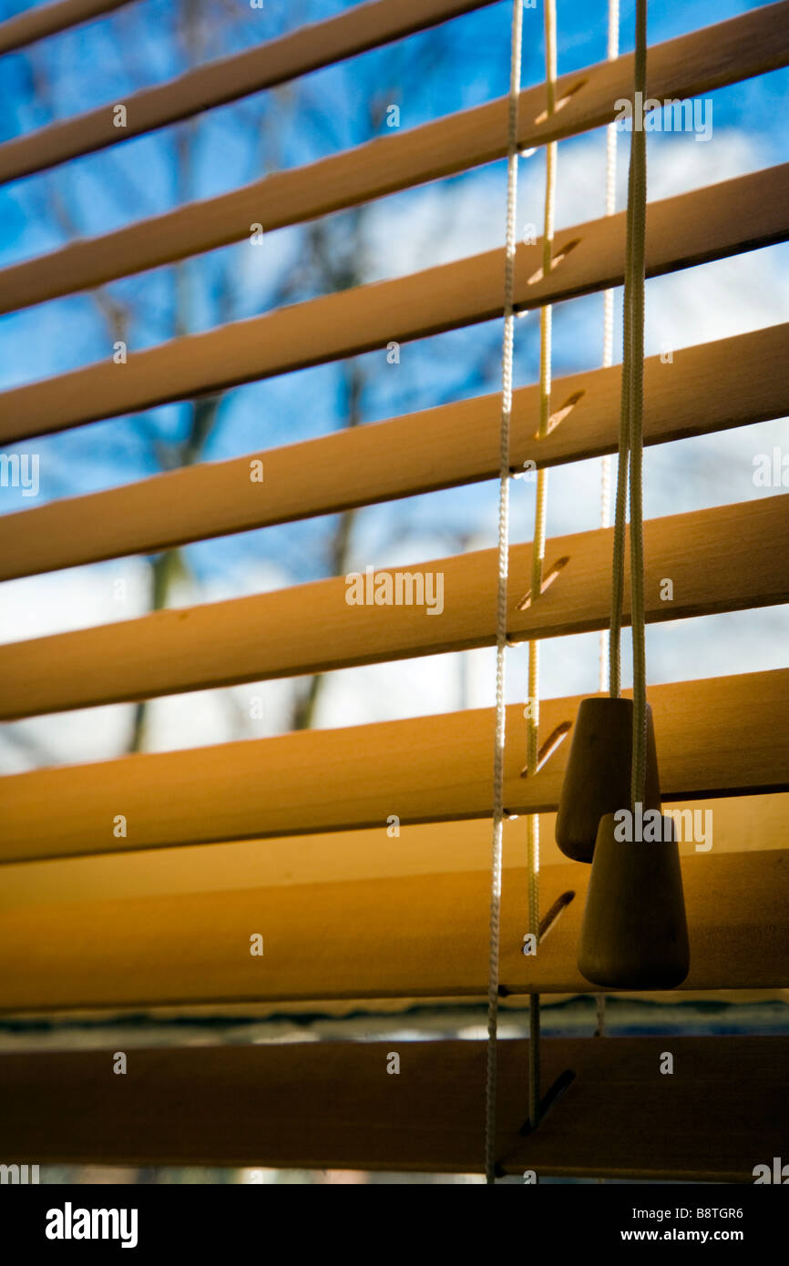Wooden window blinds and toggle pull looking out at tree and a blue ...