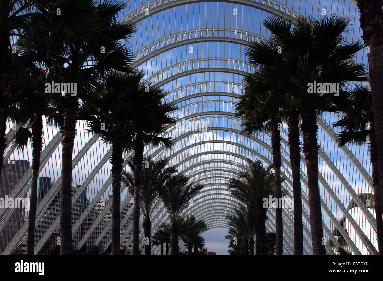 Valencia New city with palmtrees L'Umbracle Stock Photo - Alamy