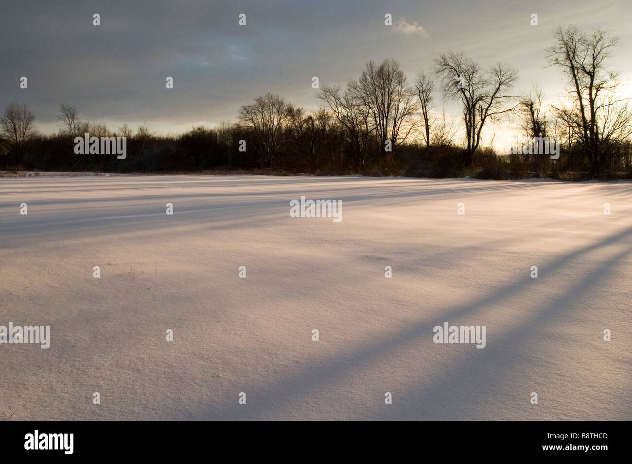 Pristine snow field after snow storm Stock Photo - Alamy