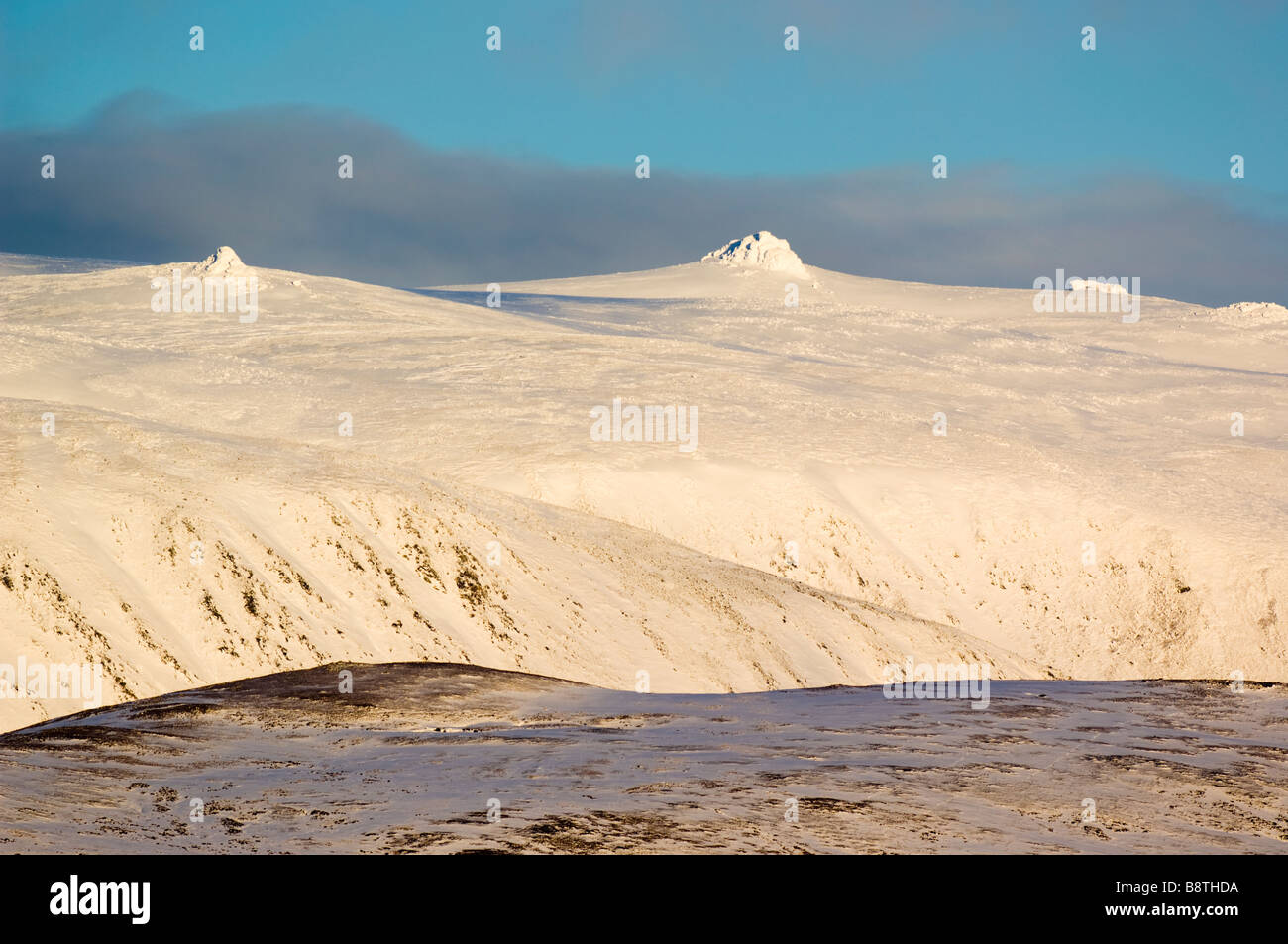 The granite tors and plateau of Ben Avon in the Cairngorms, Scotland ...