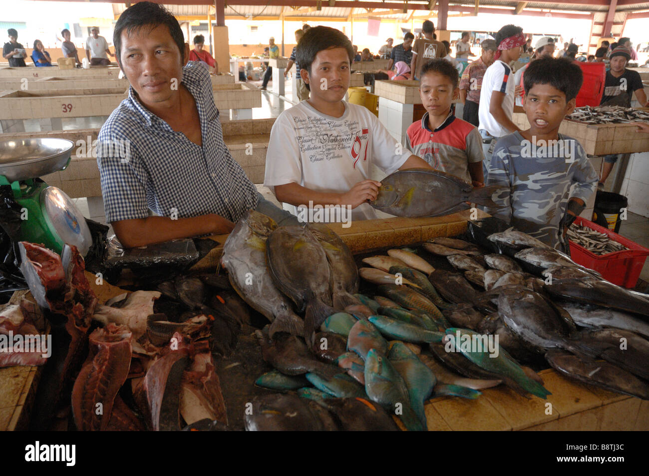 Variety of fish for sale Semporna wet fish market Semporna Sabah ...