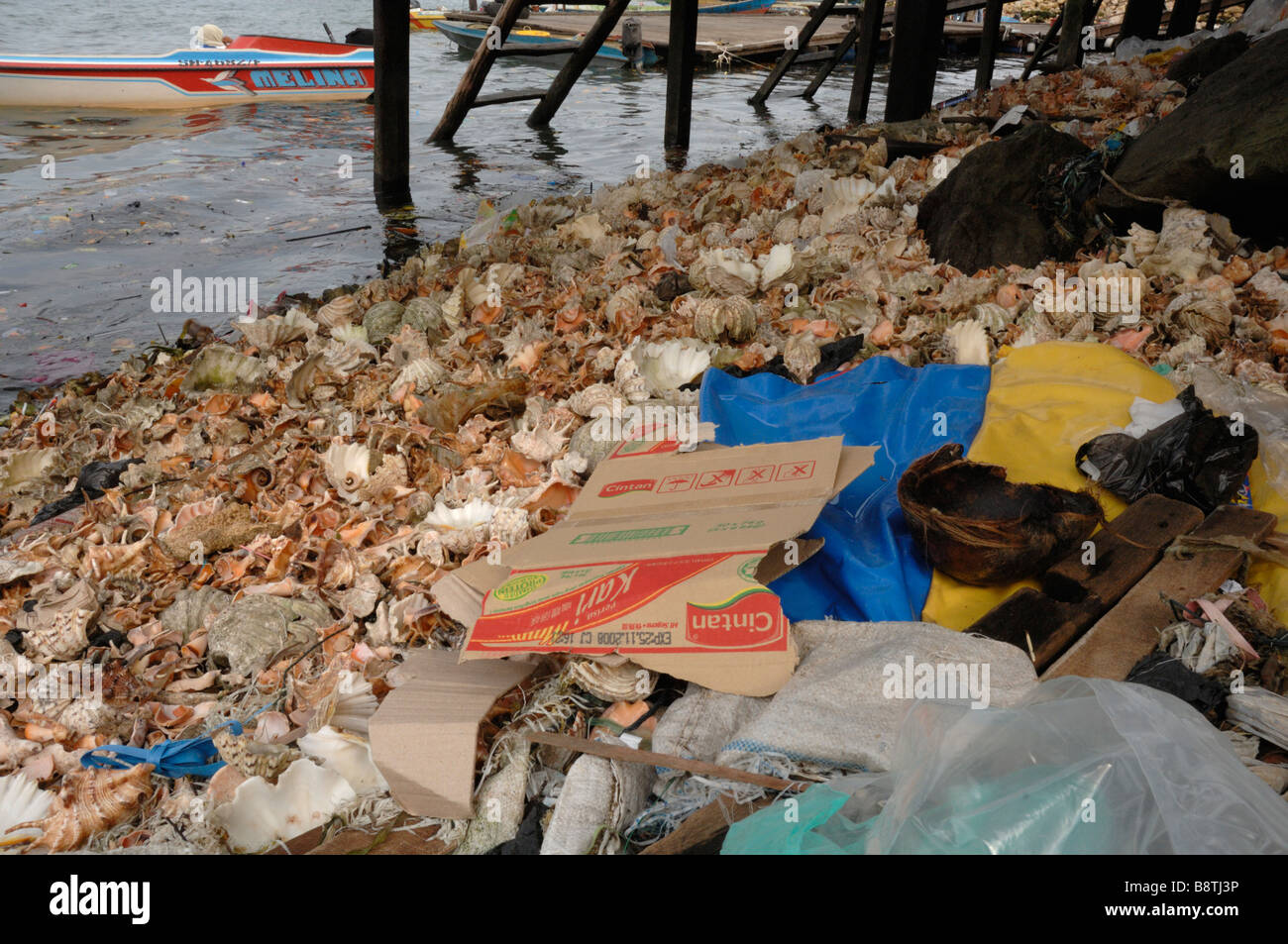 Litter and discarded shells under jetty Semporna Sabah Malaysia Borneo ...