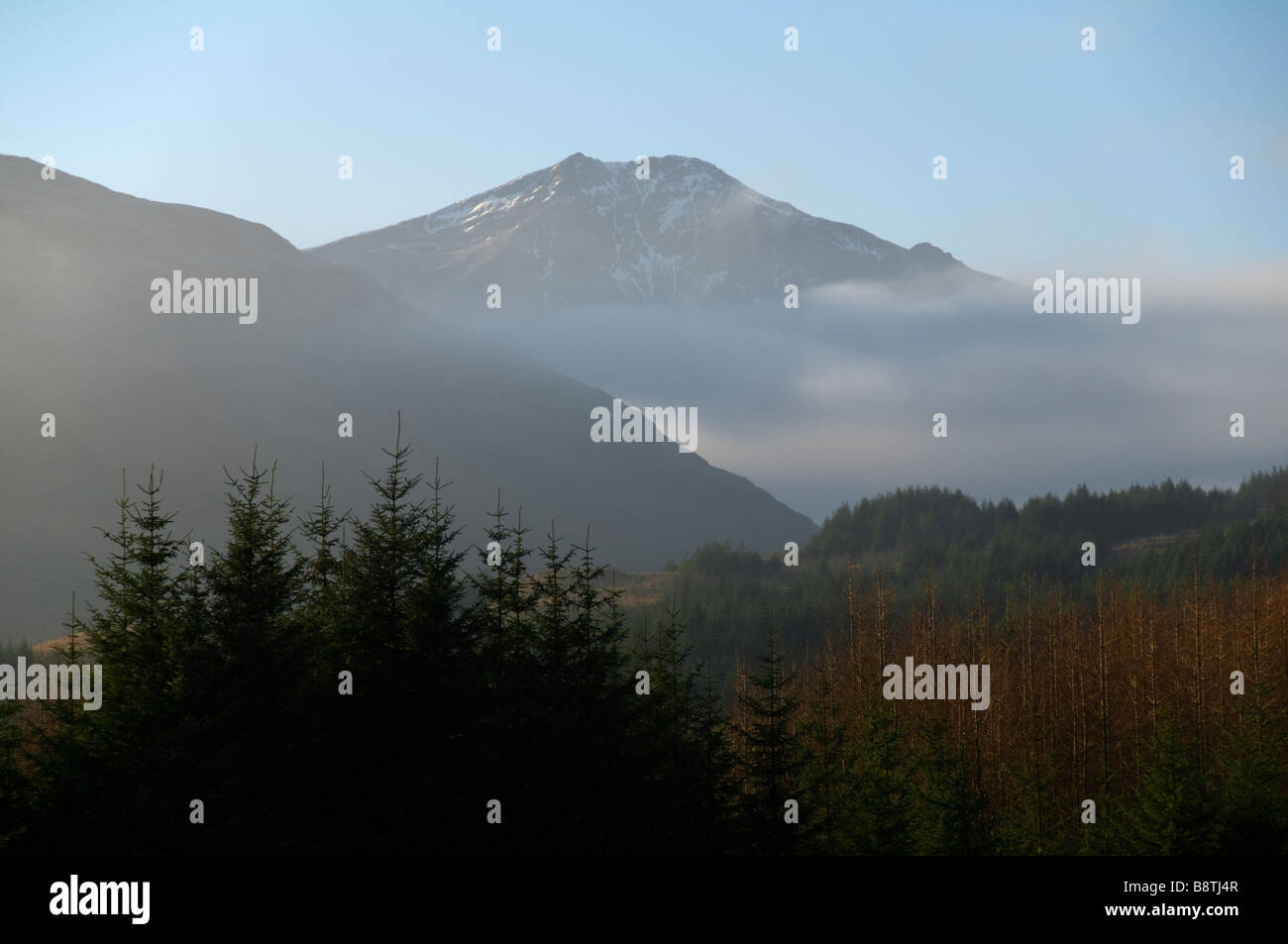 Ben lui hi-res stock photography and images - Alamy