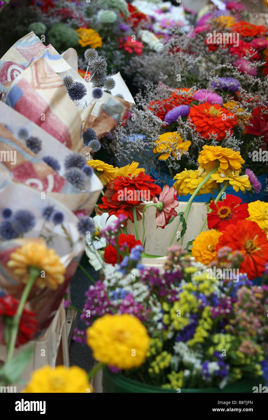 Ste Foy High Resolution Stock Photography and Images - Alamy