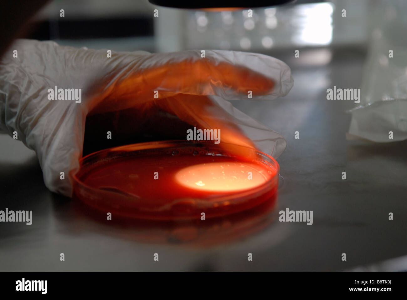 Embryo vitrification hi-res stock photography and images - Alamy