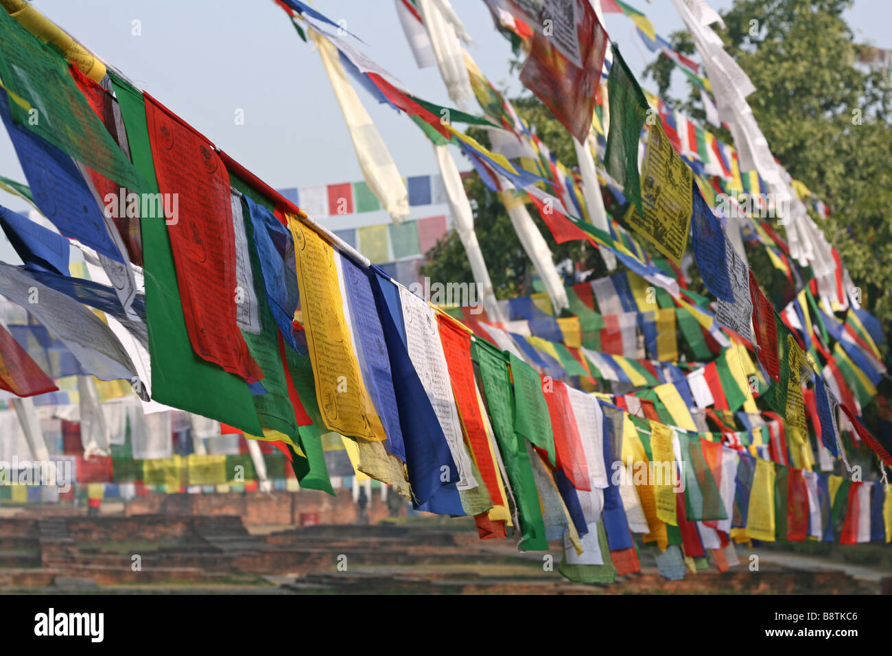 Prayer flags blowing in the breeze, Lumbini, Nepal Stock Photo - Alamy