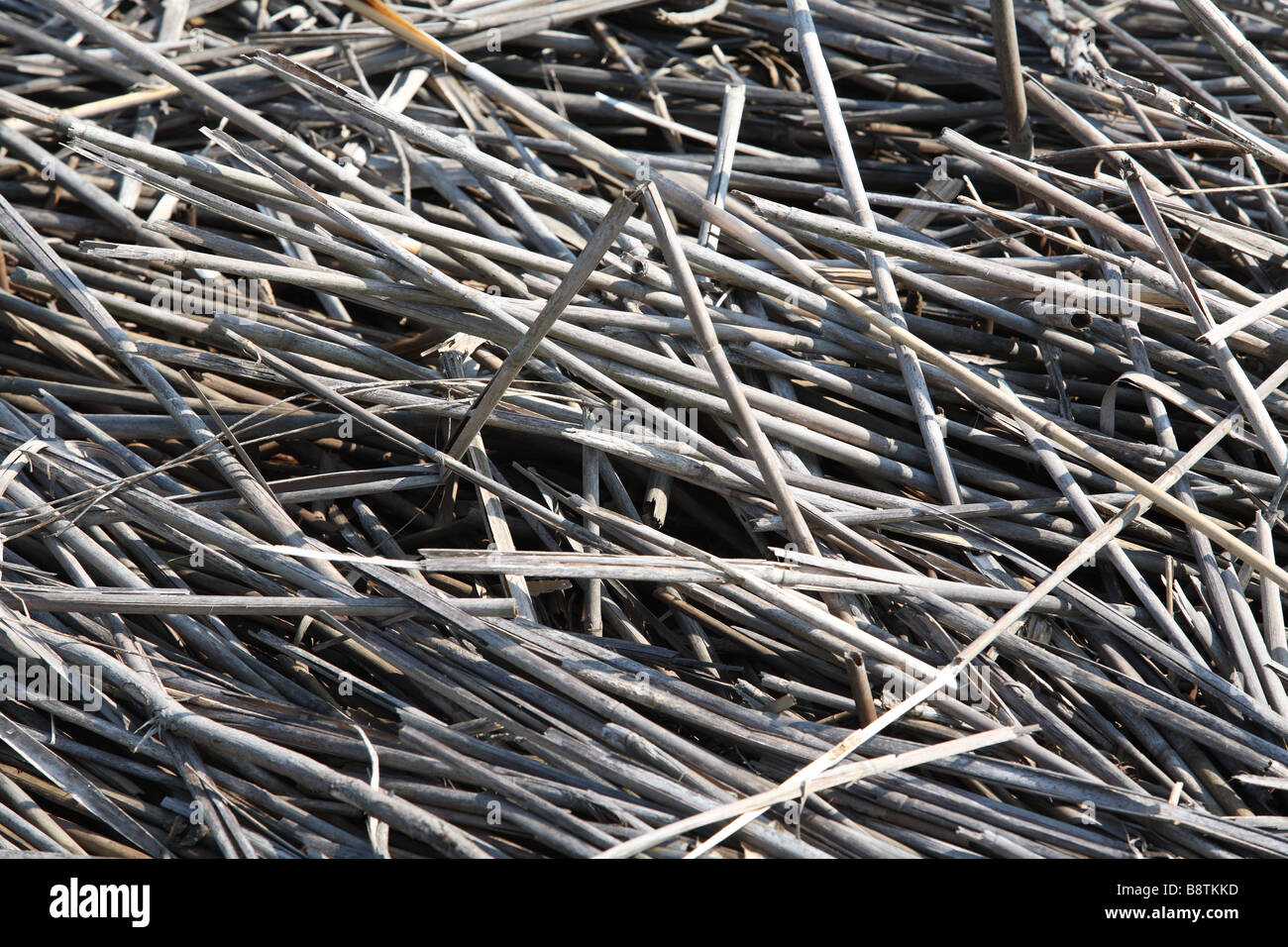 Weak landscaping hi-res stock photography and images - Alamy