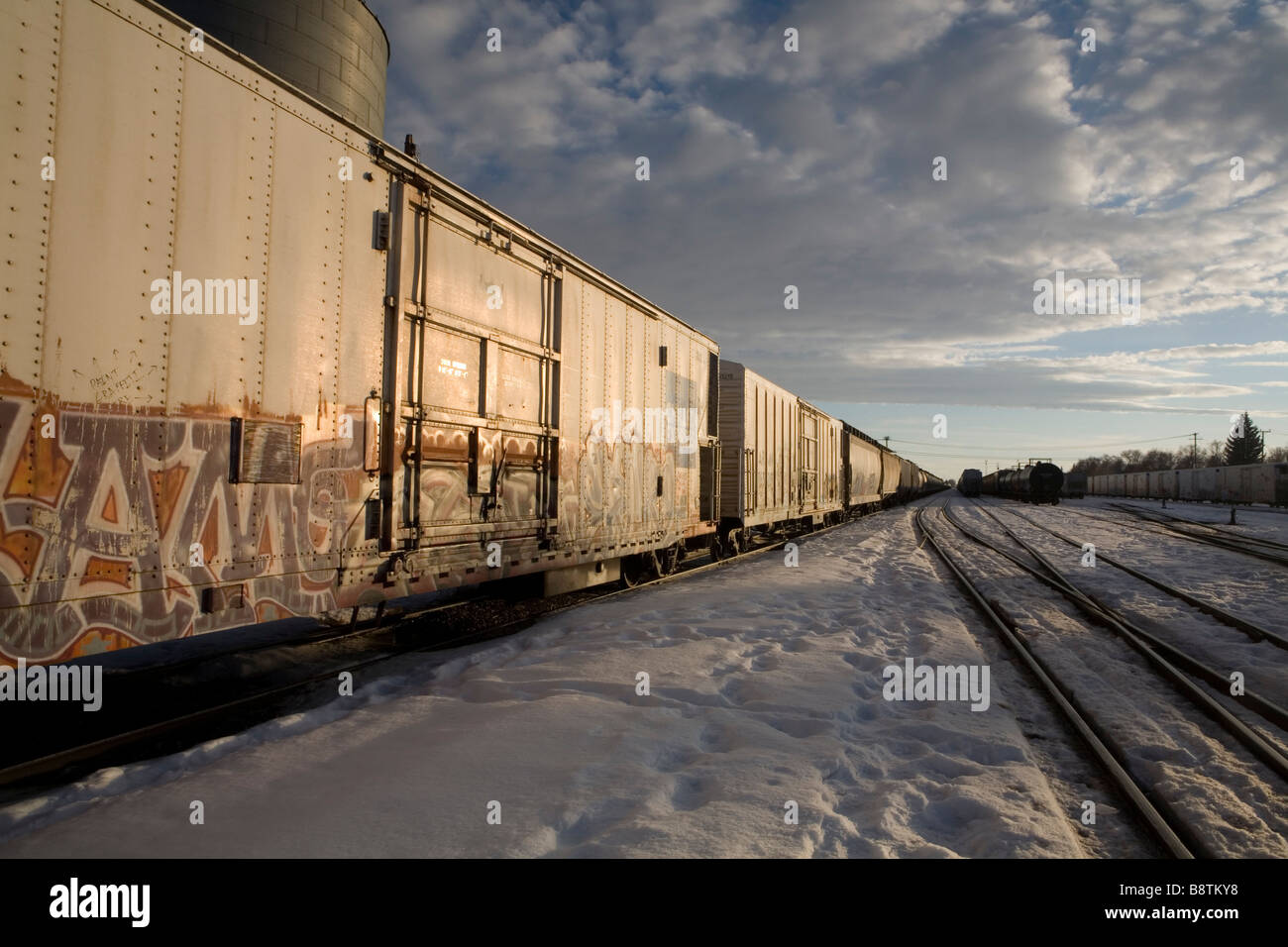 Train with graffiti hi-res stock photography and images - Alamy