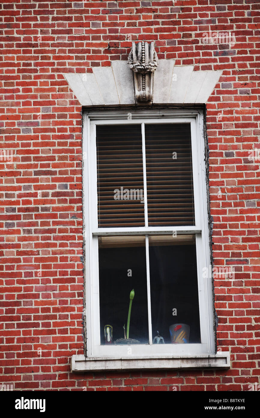 Window in Brick Wall Stock Photo - Alamy