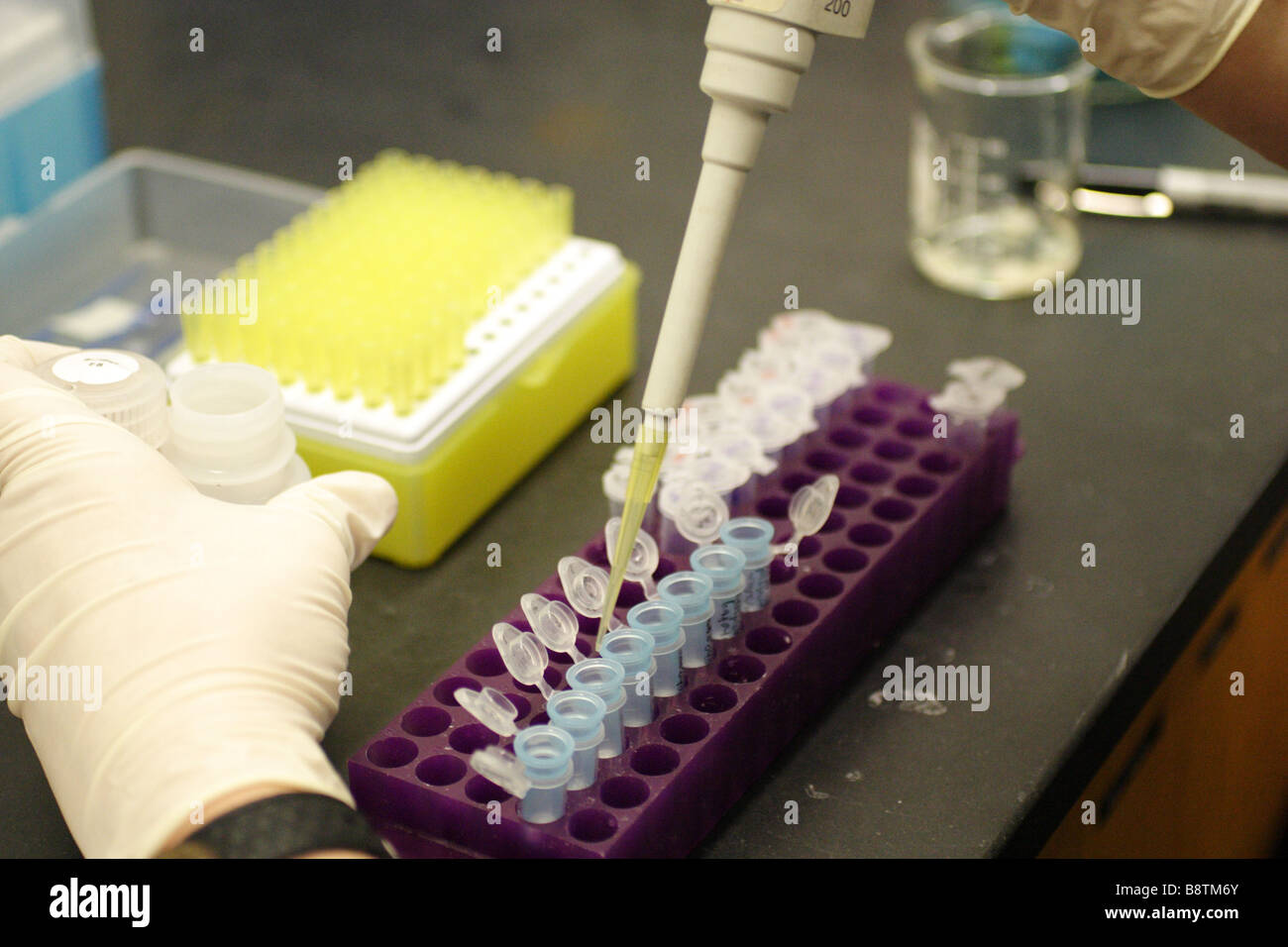 Microtube rack hi-res stock photography and images - Alamy