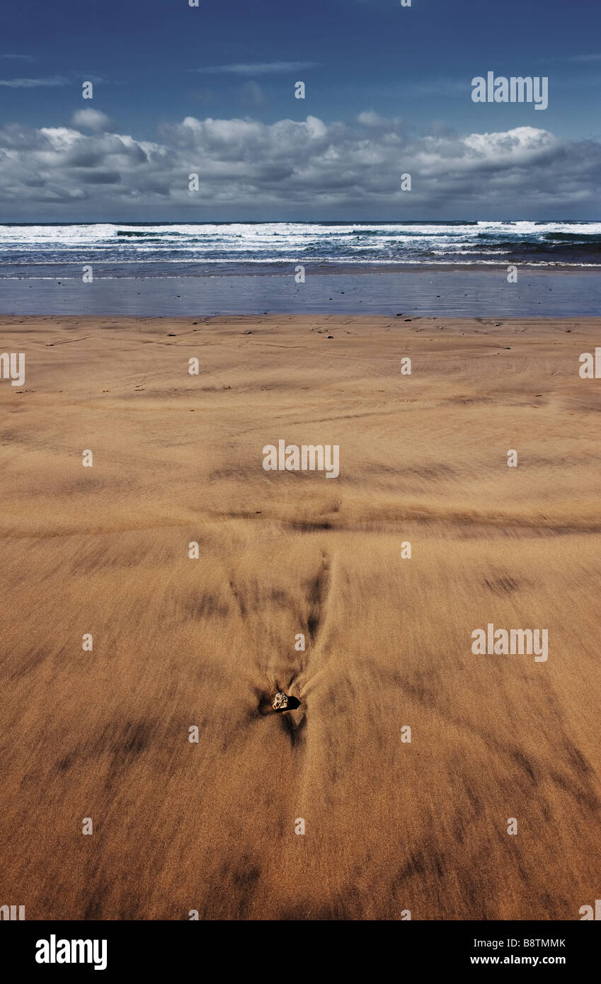 Pebble on Gwithian Towans Beach in Cornwall Stock Photo - Alamy