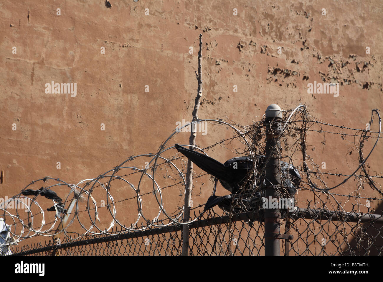 Barbed wire wall guard hi-res stock photography and images - Alamy