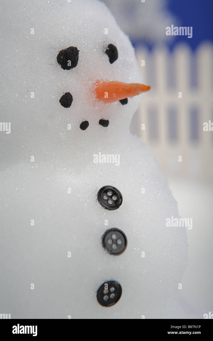 Snowman carrot hi-res stock photography and images - Alamy